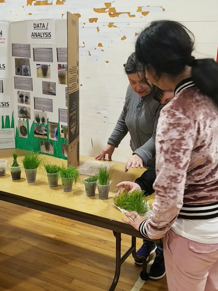 Susser School Science Fair: A Great Time Asking the Great Questions ...